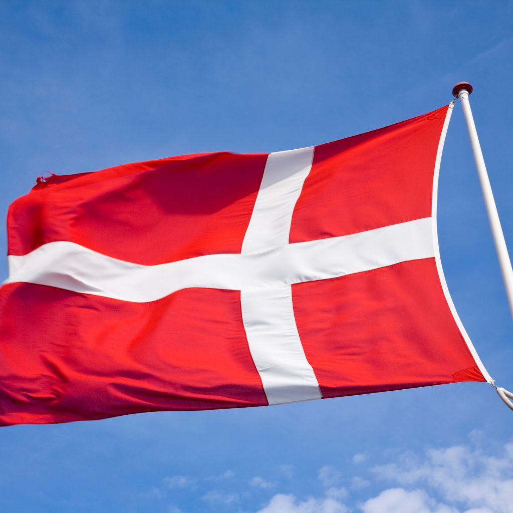 Countrywide E-invoice Mandate in Denmark (Full Guide)